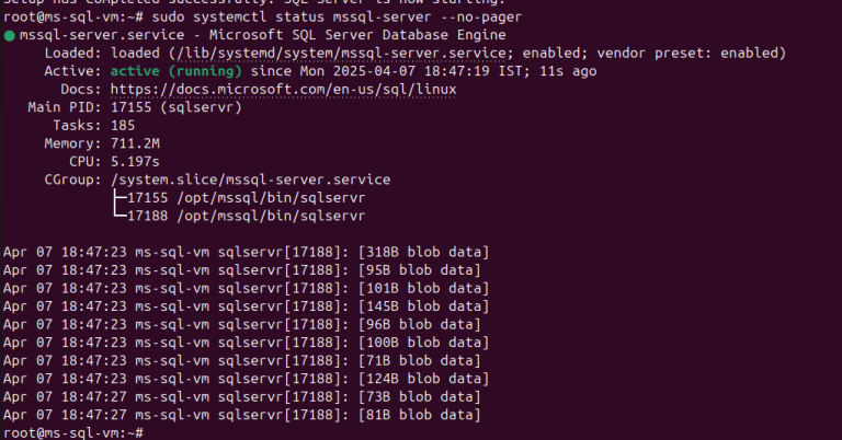 How to Install & Set Up SQL Server 2022 Express Edition on Ubuntu 22.04
