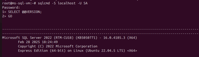 How to Install & Set Up SQL Server 2022 Express Edition on Ubuntu 22.04