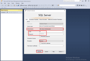How to Install and Set Up Microsoft SQL Server 2022 - CloudPe