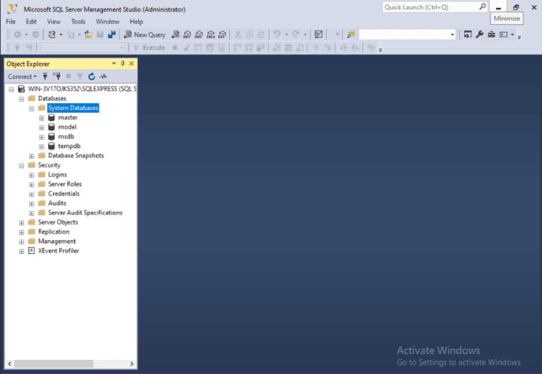 How to Install and Set Up Microsoft SQL Server 2022 - CloudPe